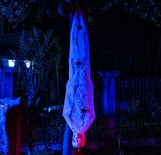 Halloween Must Haves for Under $35